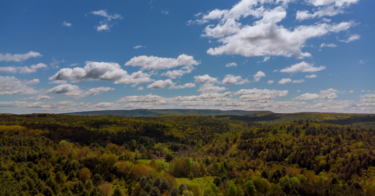 Poconos HOA court case sets statewide precedent for vacation rental ...